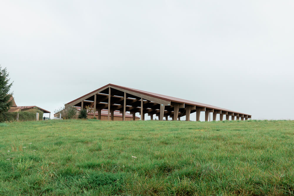 DA Stables, piste hippique à Herne | Laminated Timber Solutions